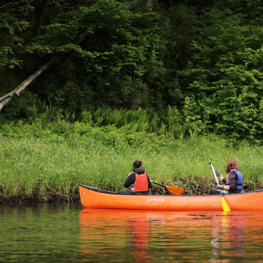Laivošana Braslā ar kanoe vai kajakiem • Upeslaivas